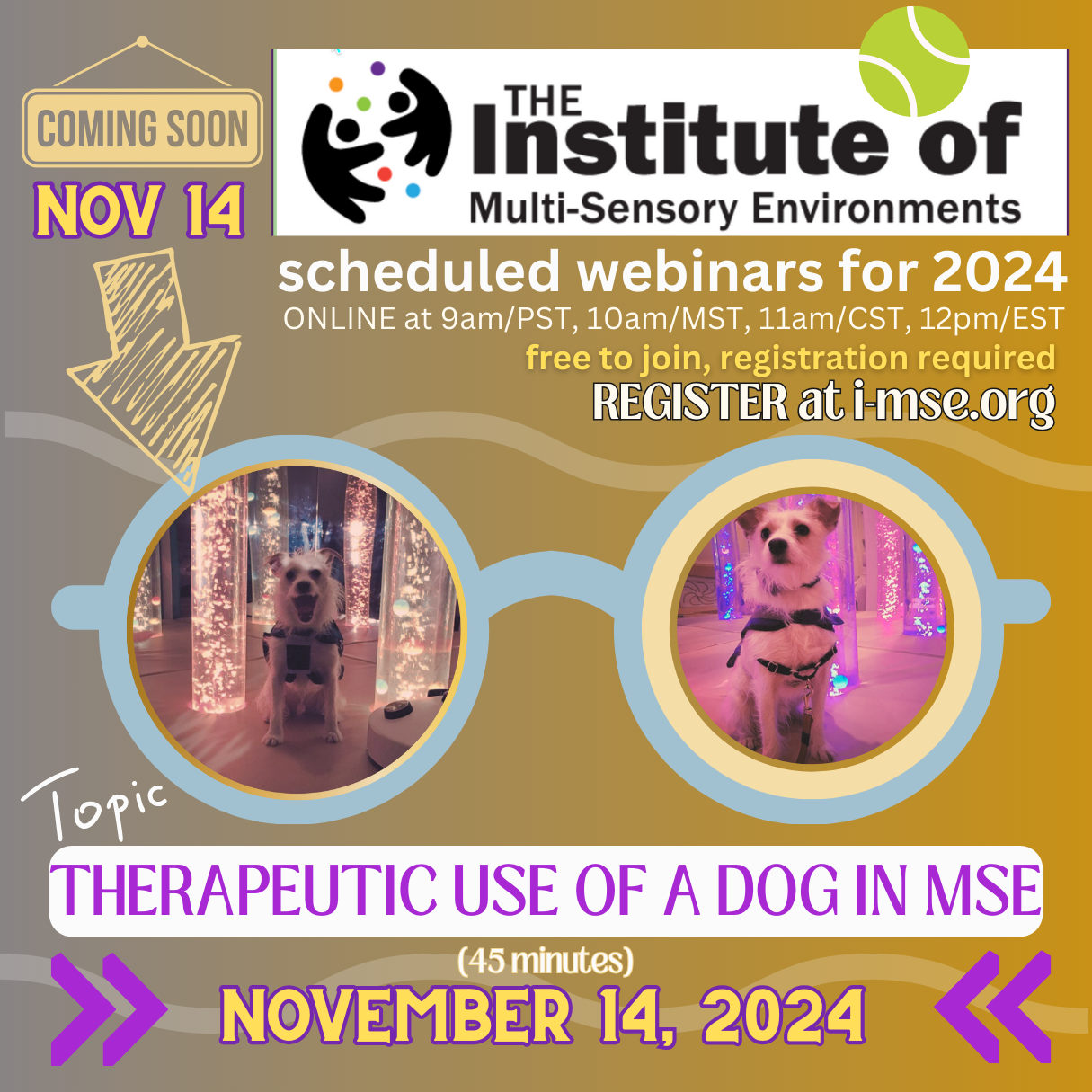 MSE Webinar (free) November 14 - register now! - Quality of Life ...