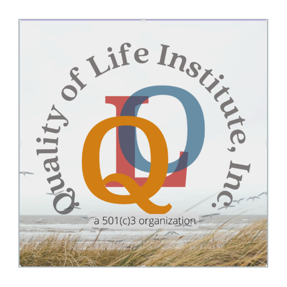 Quality of Life Model - Quality of Life Institute, Inc.